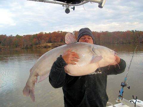 About Capt. Archie | NightStalker Guide Service